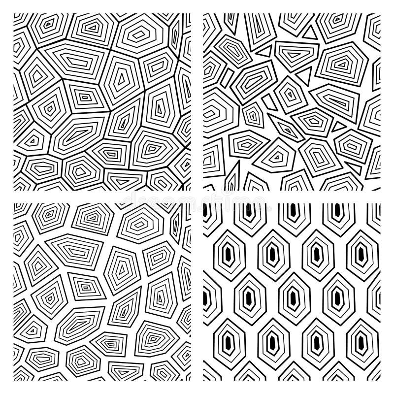 Tortoise Shell Drawing