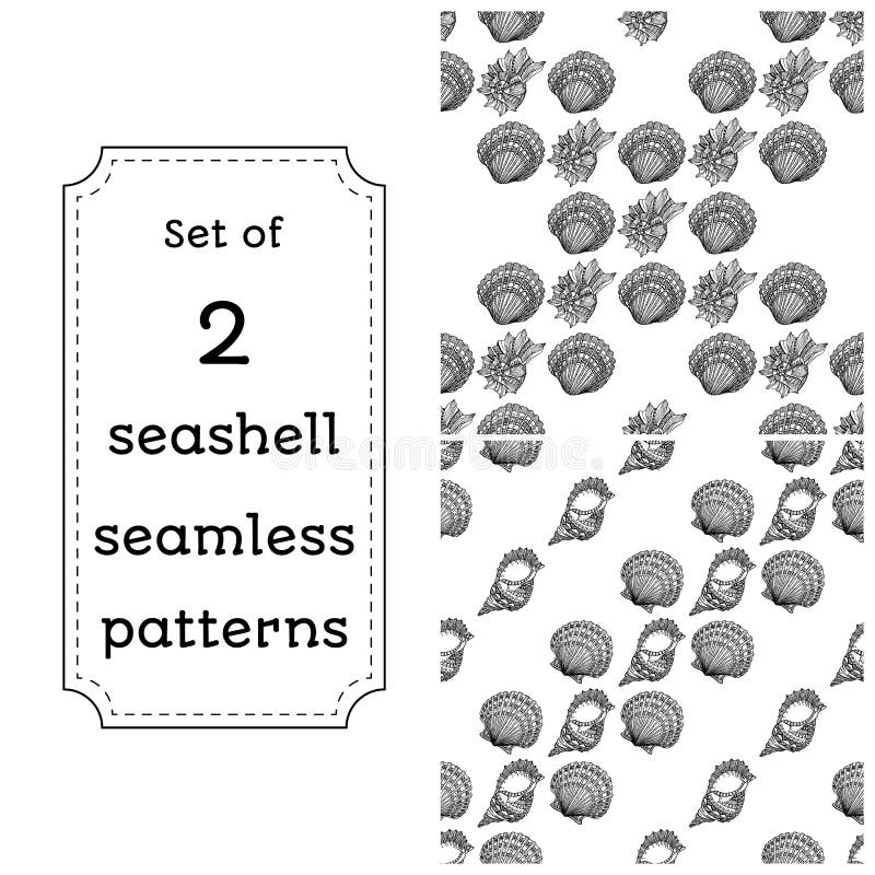 Geometric Seamless Pattern of Seashells Stock Vector - Illustration of ...