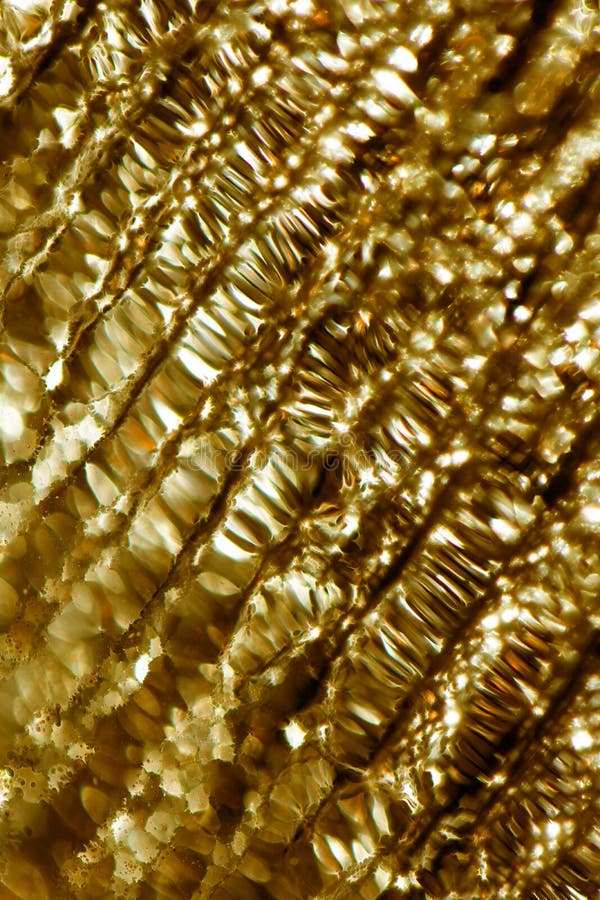 Geometric Gold Shiny Metal Sparkly Geometric Background Stock Photo ...