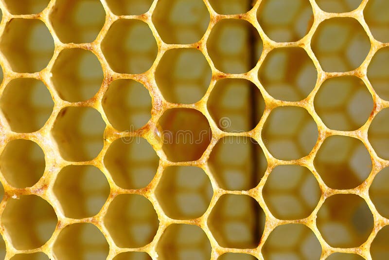 The Geometric Structure of a Honeycomb in the Frame Stock Photo - Image ...