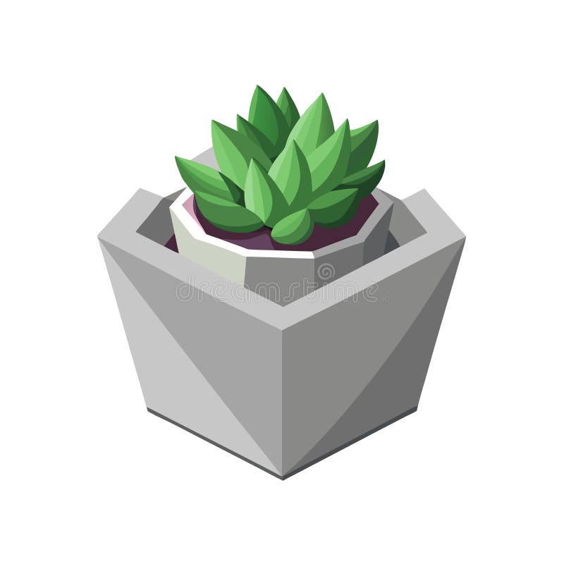 Geometric Succulent Plant in Modern Concrete Pot Vector Illustration ...
