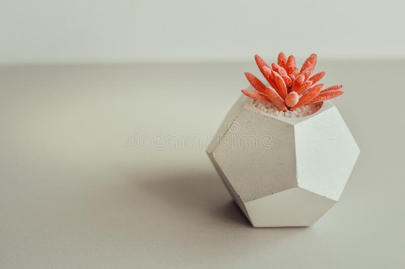 Geometric Vase with a Plant Stock Image - Image of plant, orange: 132535409