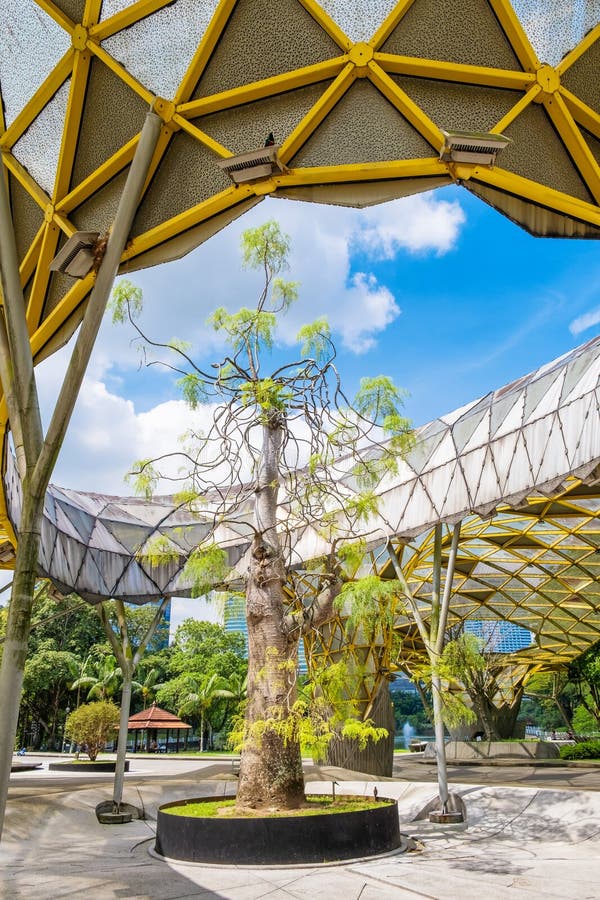 Geometric Yellow Structure with a Tree in the Center, Creating a Blend ...