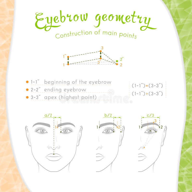Eyebrow Geometry Stock Illustrations – 69 Eyebrow Geometry Stock ...