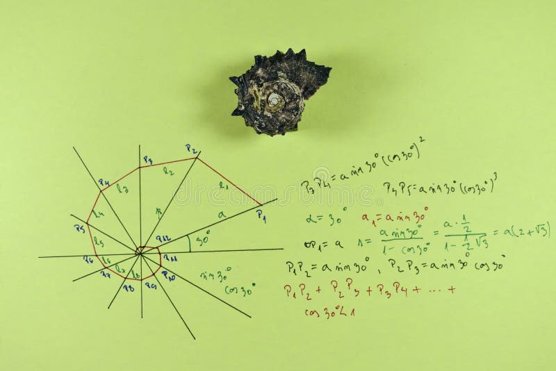 Geometry of a Shell with Mathematical Formulas Stock Image - Image of ...