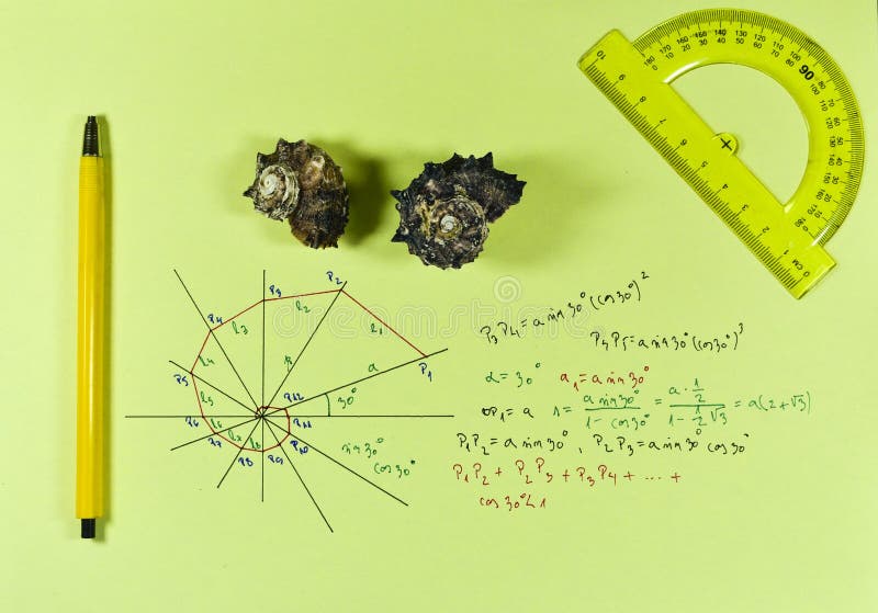 Geometry of a Shell with Pen and Ruler Stock Photo - Image of ...