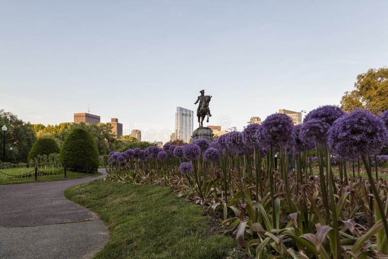 George Washington Statue with Garlic Flowers Editorial Image - Image of ...