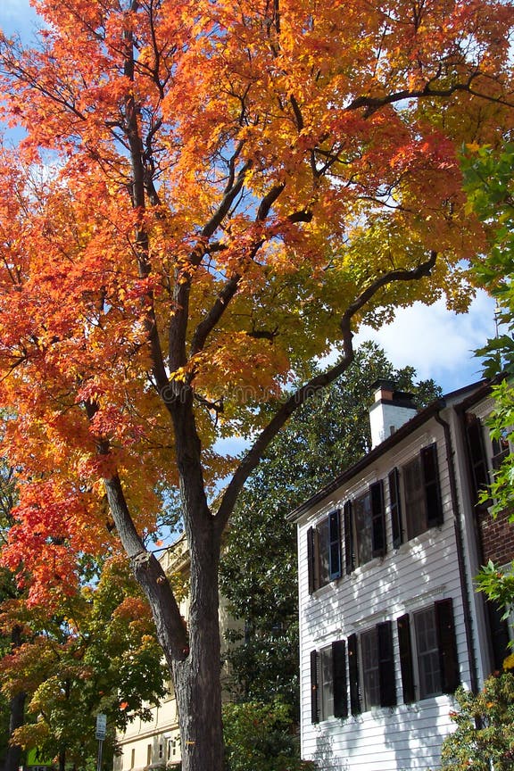 Georgetown Autumn stock image. Image of autumnal, house - 35299