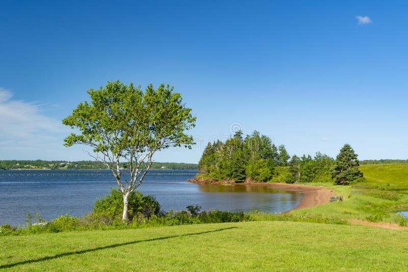 Georgetown Harbour Prince Edward Island Stock Image - Image of summer ...