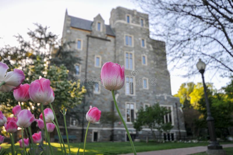 Georgetown University - Washington, DC Stock Photo - Image of historic ...
