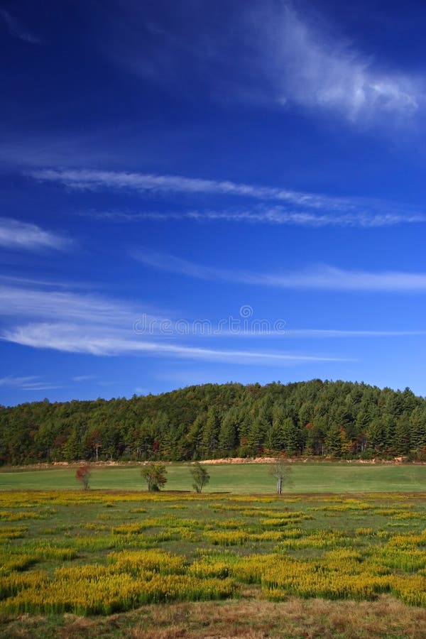 Georgia Countryside stock image. Image of country, forest - 16644091