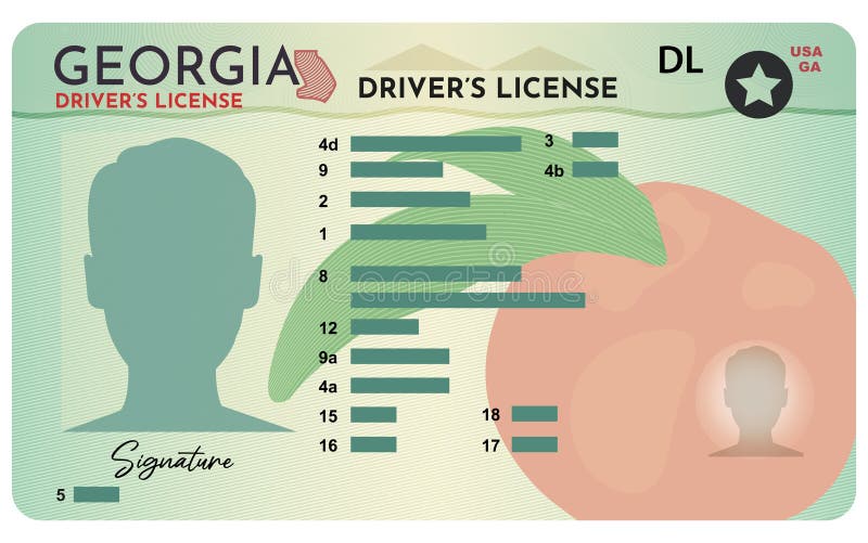 Georgia License Id Stock Illustrations – 4 Georgia License Id Stock ...