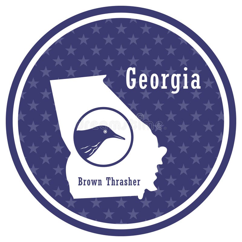 Georgia State Map with Brown Thrasher. Vector Illustration Decorative ...