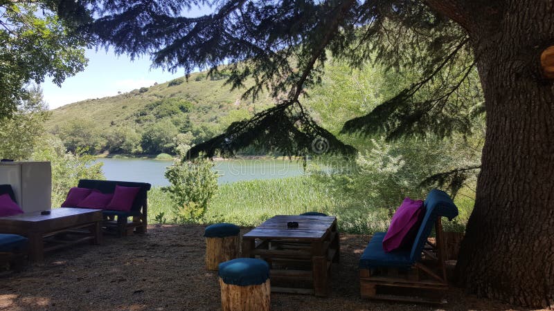 Georgia. Tbilisi stock photo. Image of georgia, turtle - 96214510