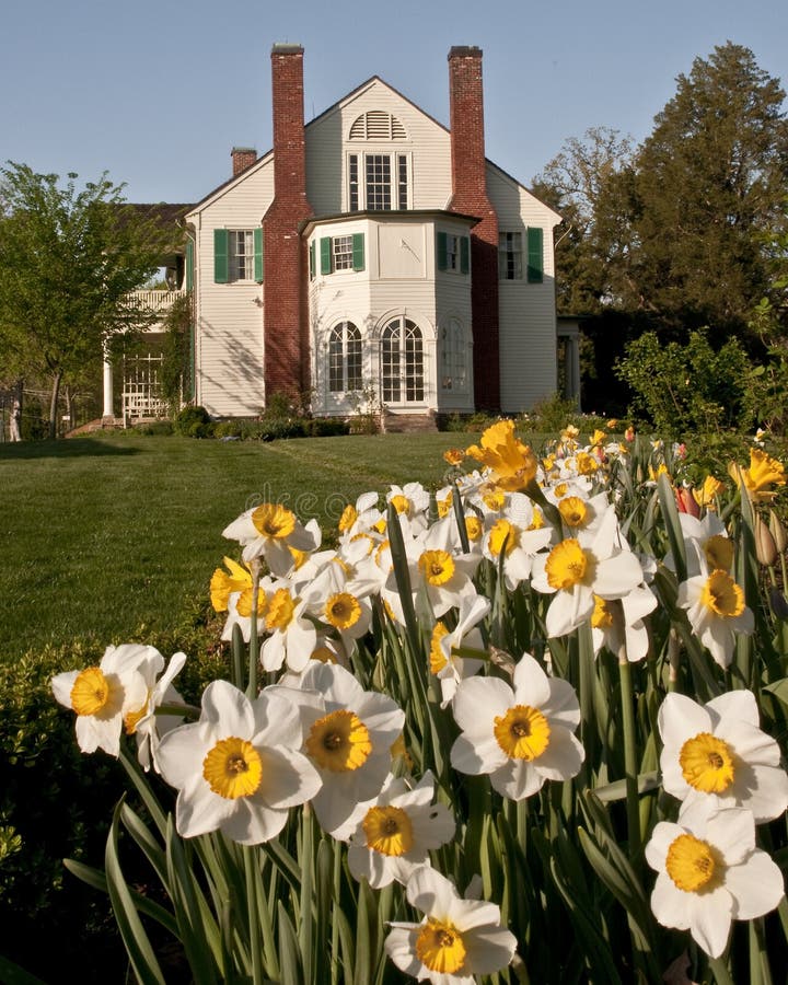Georgian Era Home in Spring Stock Photo - Image of daffodils, colonial ...