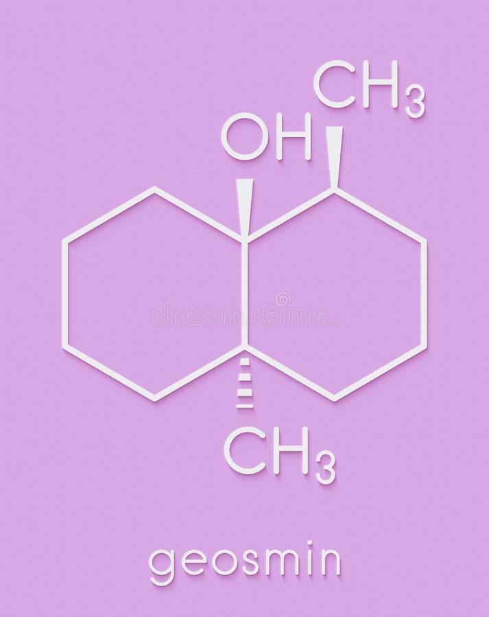 Geosmin Stock Illustrations – 31 Geosmin Stock Illustrations, Vectors ...