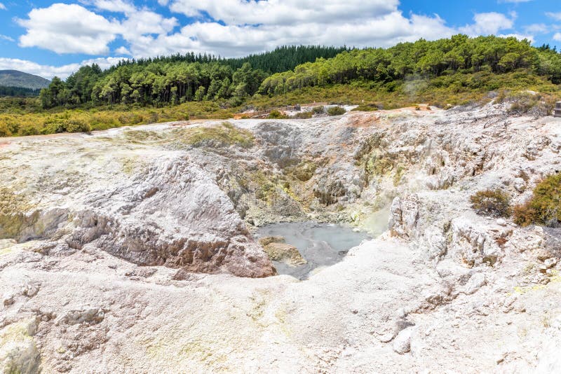 Geothermal Activity at Rotorua in New Zealand Stock Image - Image of ...