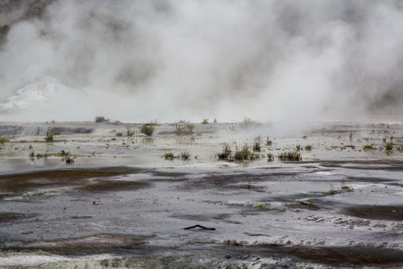 Geothermal Activity in Volcanic Area Stock Image - Image of activity ...