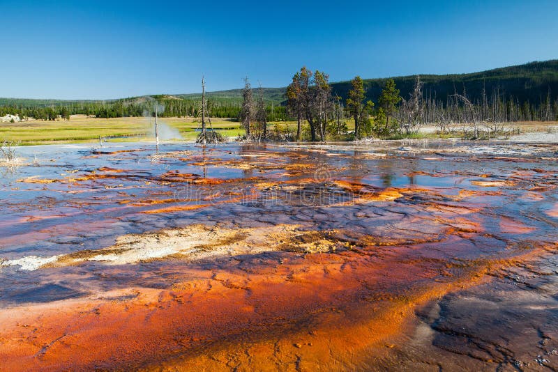Geothermal Field in Yellowstone National Park Stock Image - Image of ...