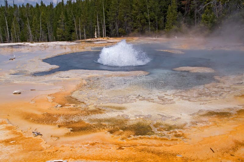 Yellowstone Geothermal Geyser Stock Photo - Image of outdoor, steam ...