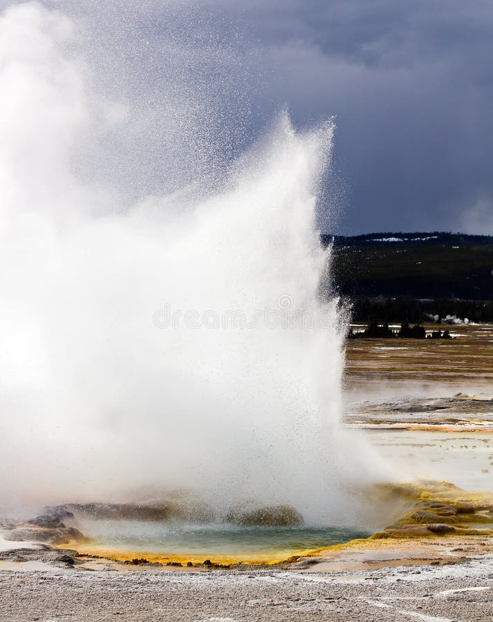 Geothermal Geyser Erupts Violently into the Air Stock Image - Image of ...