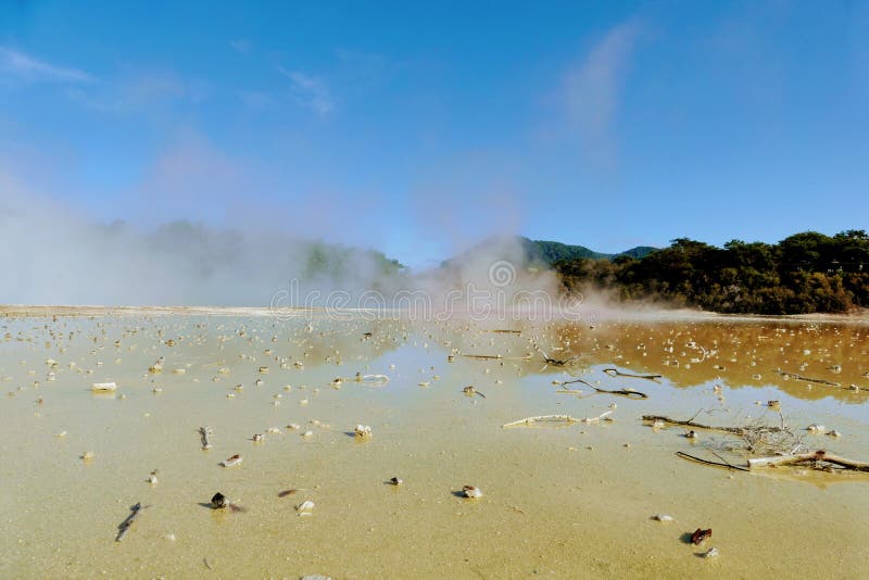 Geothermal Location, New Zealand Stock Photo - Image of geothermal ...