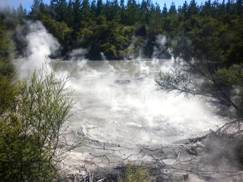Geothermal Mud Pool Rotorua, New Zealand. Stock Photo - Image of ...
