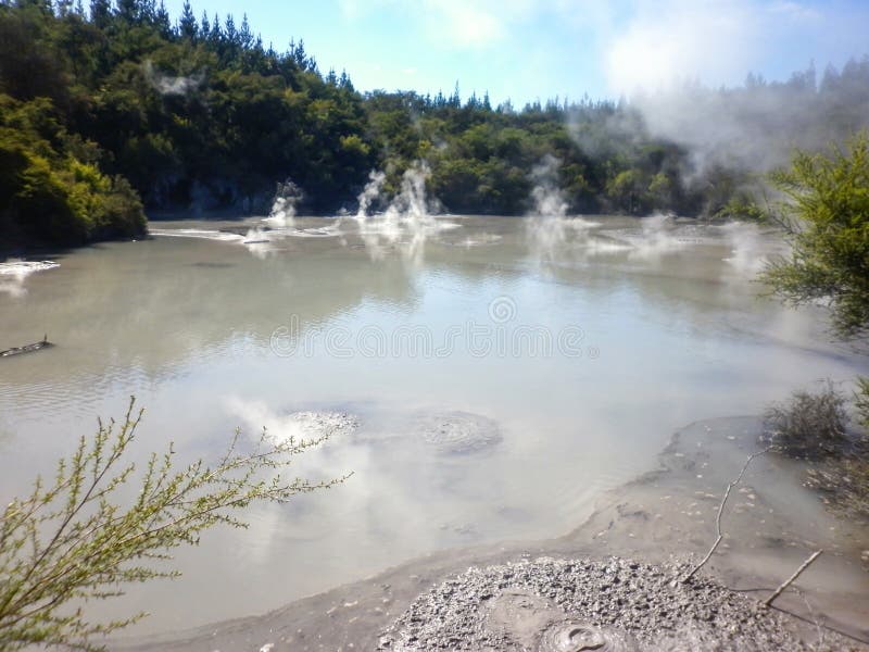 Geothermal Mud Pool Rotorua, New Zealand. Stock Photo - Image of ...