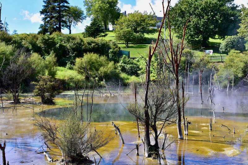 Kuirau Park, Rotorua stock photo. Image of water, zealand - 121240174