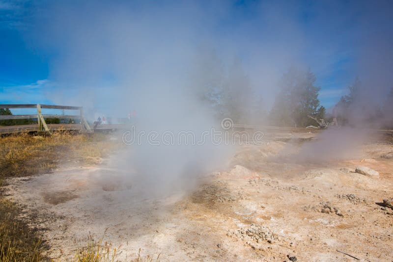 Geothermal with Rising Steam in Yellowstone Park Stock Image - Image of ...