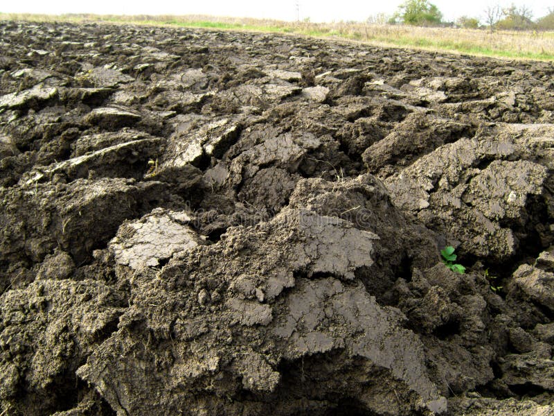 Gepflogene Ukrainische Schwarzerdenahaufnahme Stockfoto - Bild von ...