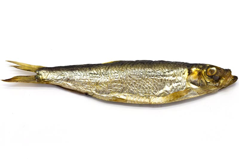 Sprotten Sprattus Sprattus Rauchen Fische Panel Stockfoto - Bild von ...