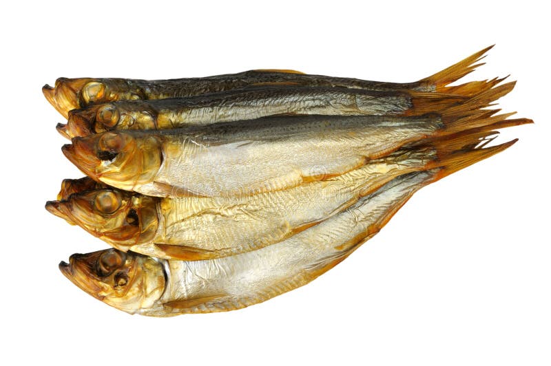 Geräucherte Sprotte stockfoto. Bild von getrennt, essen - 21695920