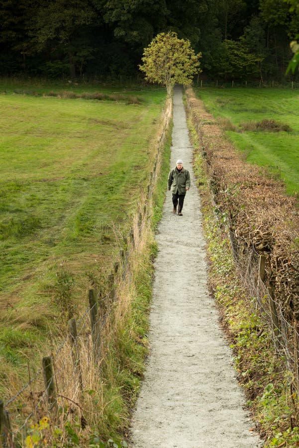 Gerader, schmaler Weg stockfoto. Bild von hecke, seiten - 34695984