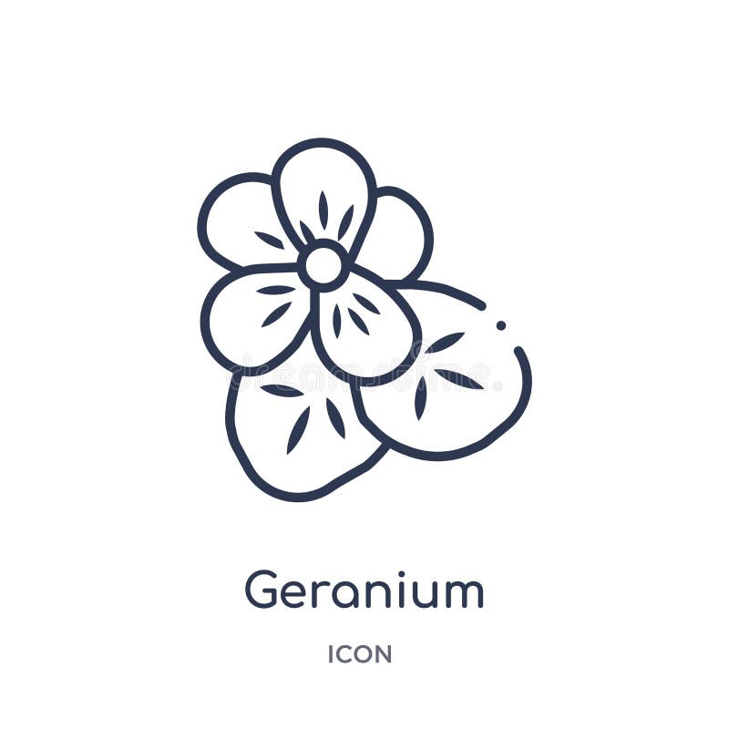 Geranium Icon from Nature Outline Collection. Thin Line Geranium Icon ...