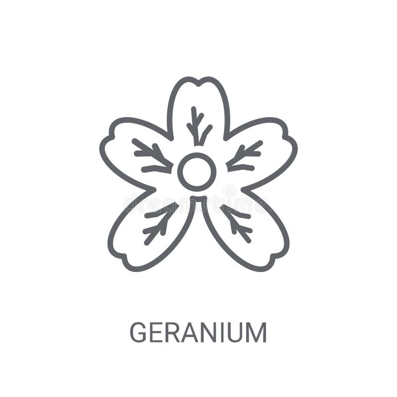 Geranium Icon Stock Illustrations – 301 Geranium Icon Stock ...
