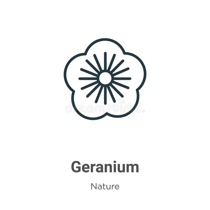 Geranium Graphic Rose Vector Stock Illustrations – 52 Geranium Graphic ...