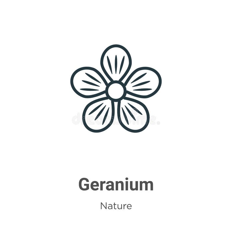 Geranium Outline Vector Icon. Thin Line Black Geranium Icon, Flat ...
