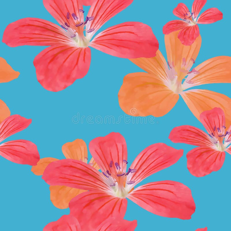 Geranium, Pelargonium. Seamless Pattern Texture of Flowers. Floral ...