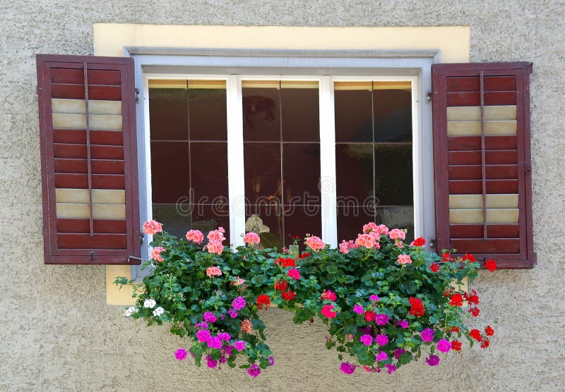 Geraniums in window box stock photo. Image of geranium - 23270200