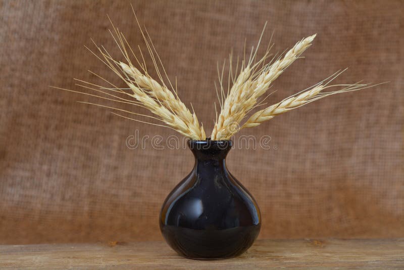 Gerbe de blé image stock. Image du gerbe, maïs, centrale - 27063143