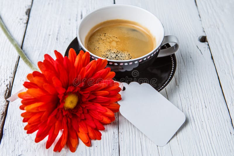 Gerber, Coffee with Clean Postcard Stock Photo - Image of aroma ...