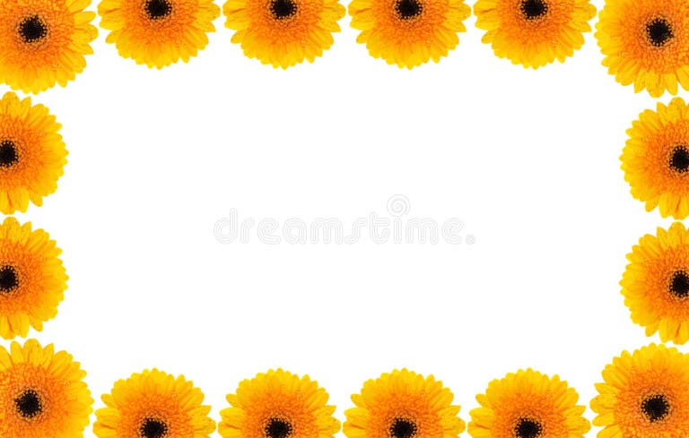 11,104 Spring Daisy Border Stock Photos - Free & Royalty-Free Stock ...