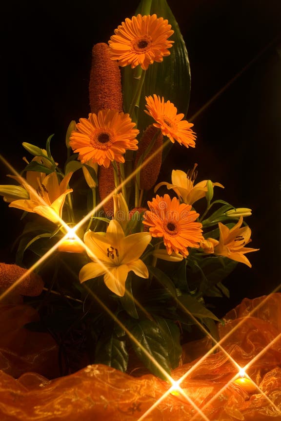 Gerber daisy bouquet stock image. Image of basket, nature - 2205873
