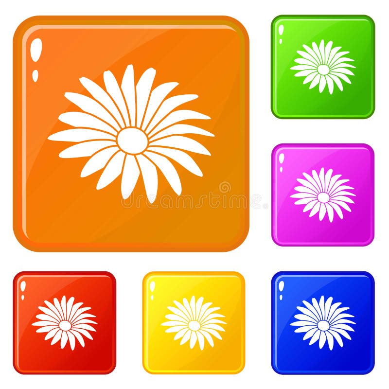 Gerber Flower Icons Set Vector Color Stock Vector - Illustration of ...