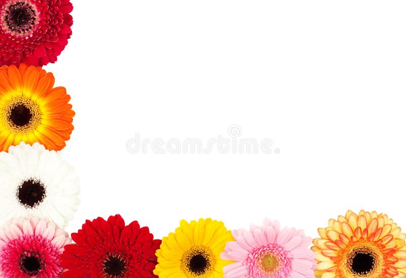Colorful Daisy Border stock photo. Image of orange, border - 30067896