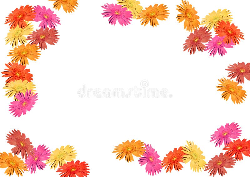 34+ Gerbera border Free Stock Photos - StockFreeImages