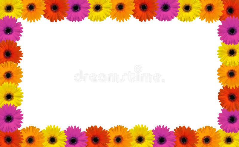 Gerbera frame stock photo. Image of gerbera, flower, front - 754442