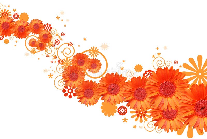 Gerbera daisy background stock illustration. Illustration of stylish ...