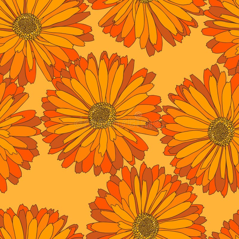 Gerbera Daisy Hand Drawn Seamless Pattern Stock Vector - Illustration ...